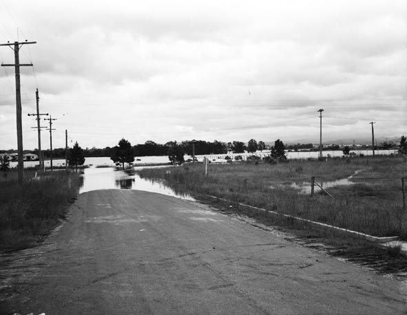 5 February 1951 flooding rocklea – Oxley Creek Catchment Association